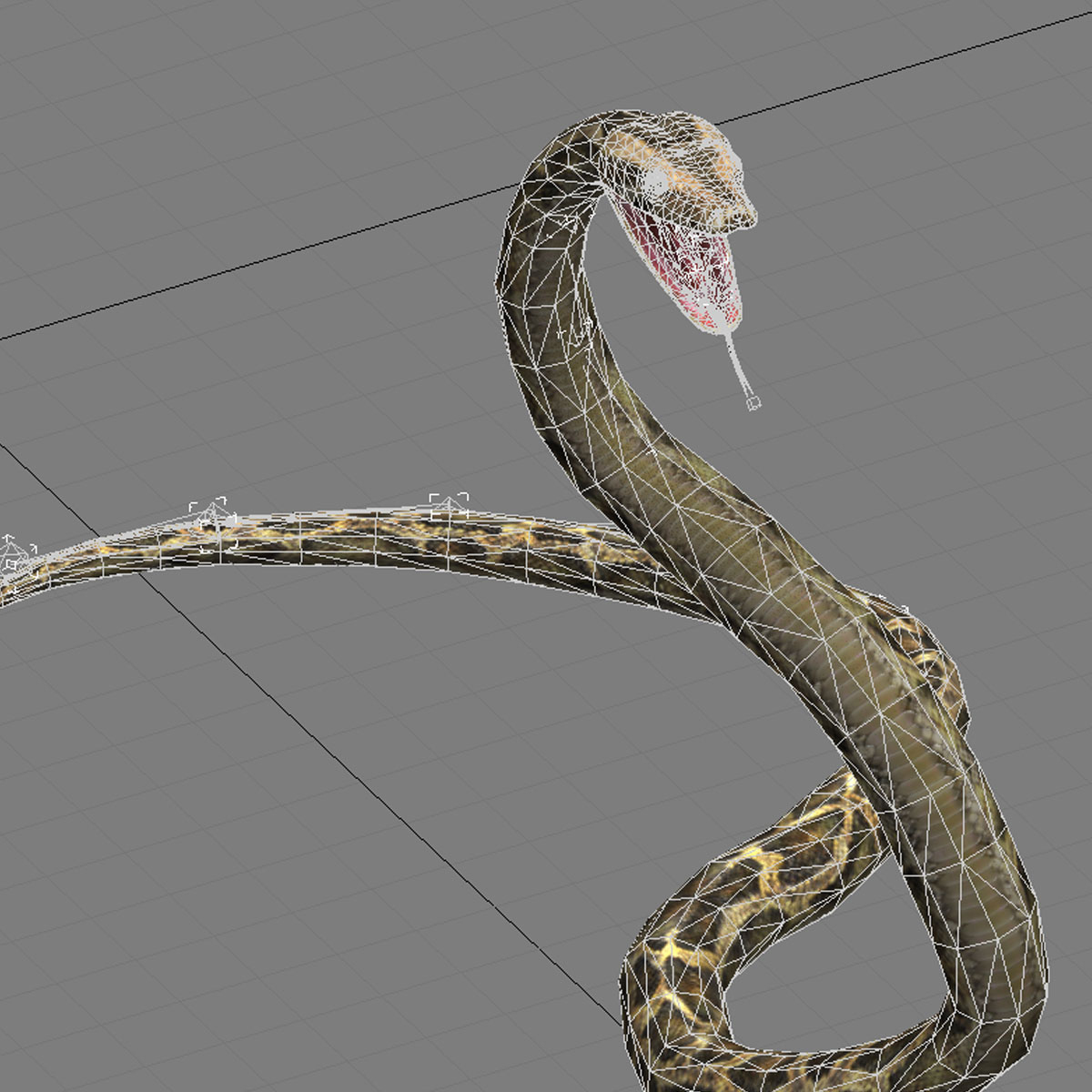 3ds max reptile snake python