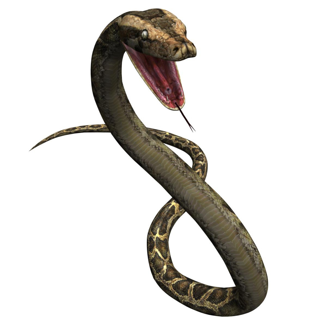3ds max reptile snake python