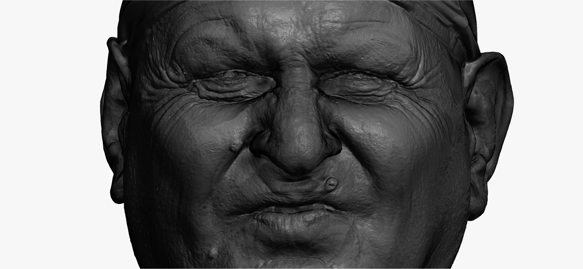 Homer Human Head Nose Wrinkler AU 09 Clean Scan 3D Model - TurboSquid ...