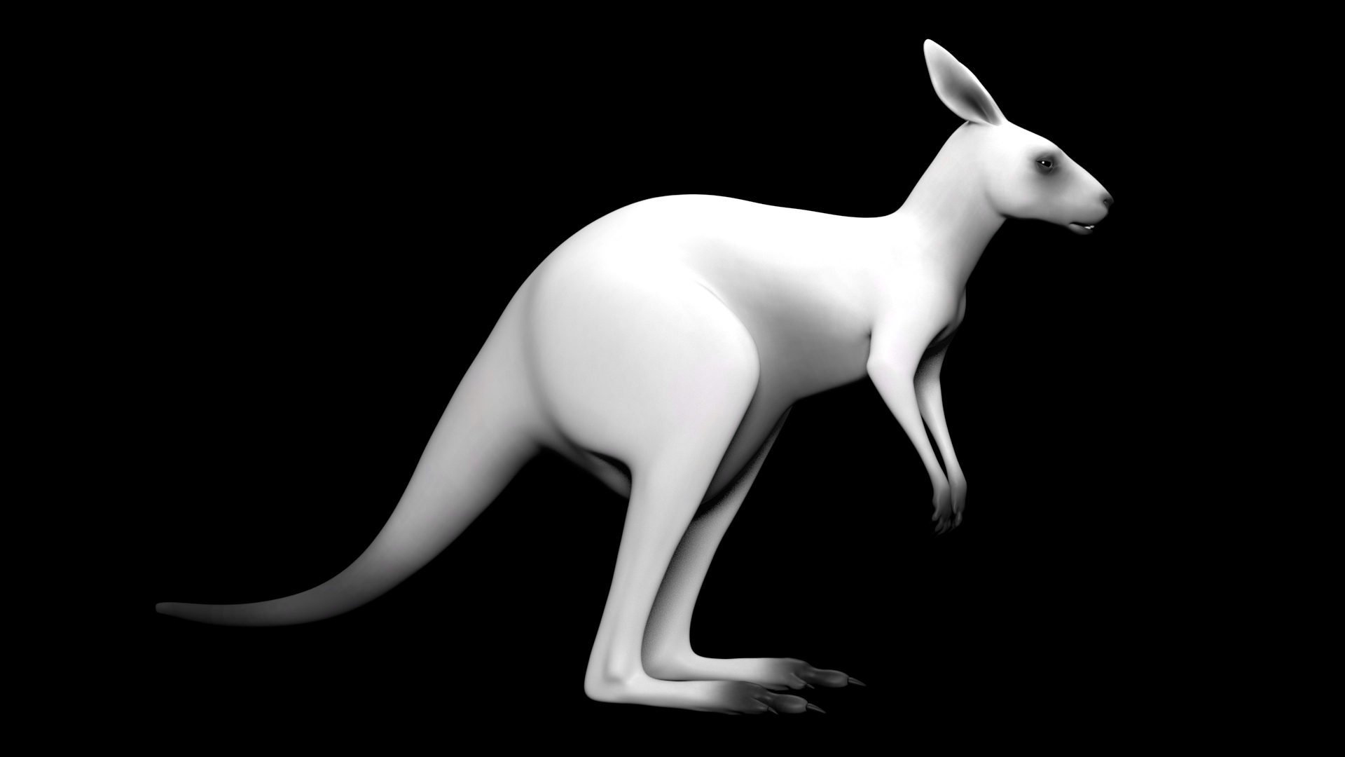 Roo Kangaroo 3D - TurboSquid 1649156