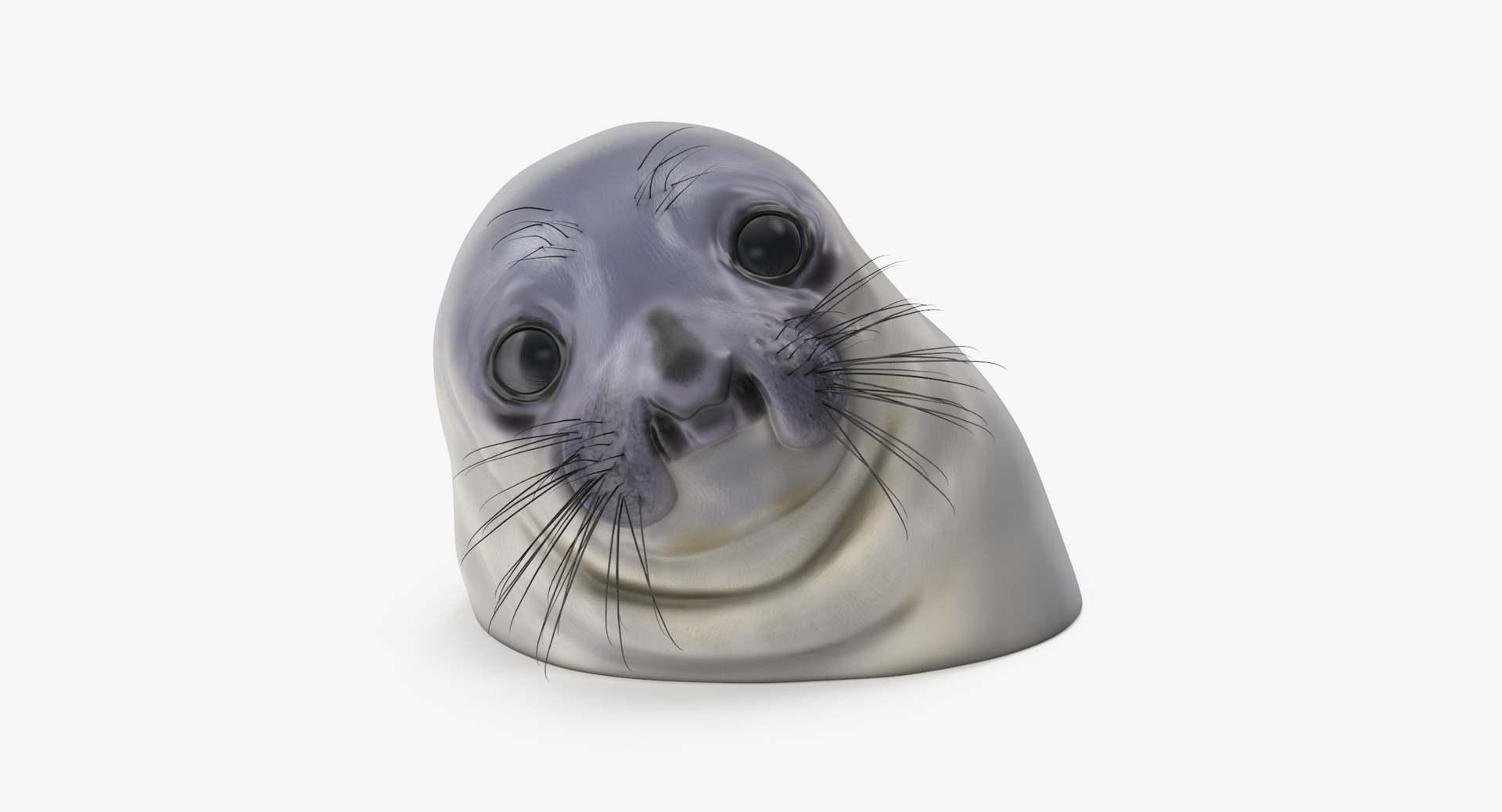 modelo 3d Colección de 14 Memes - TurboSquid 1054826