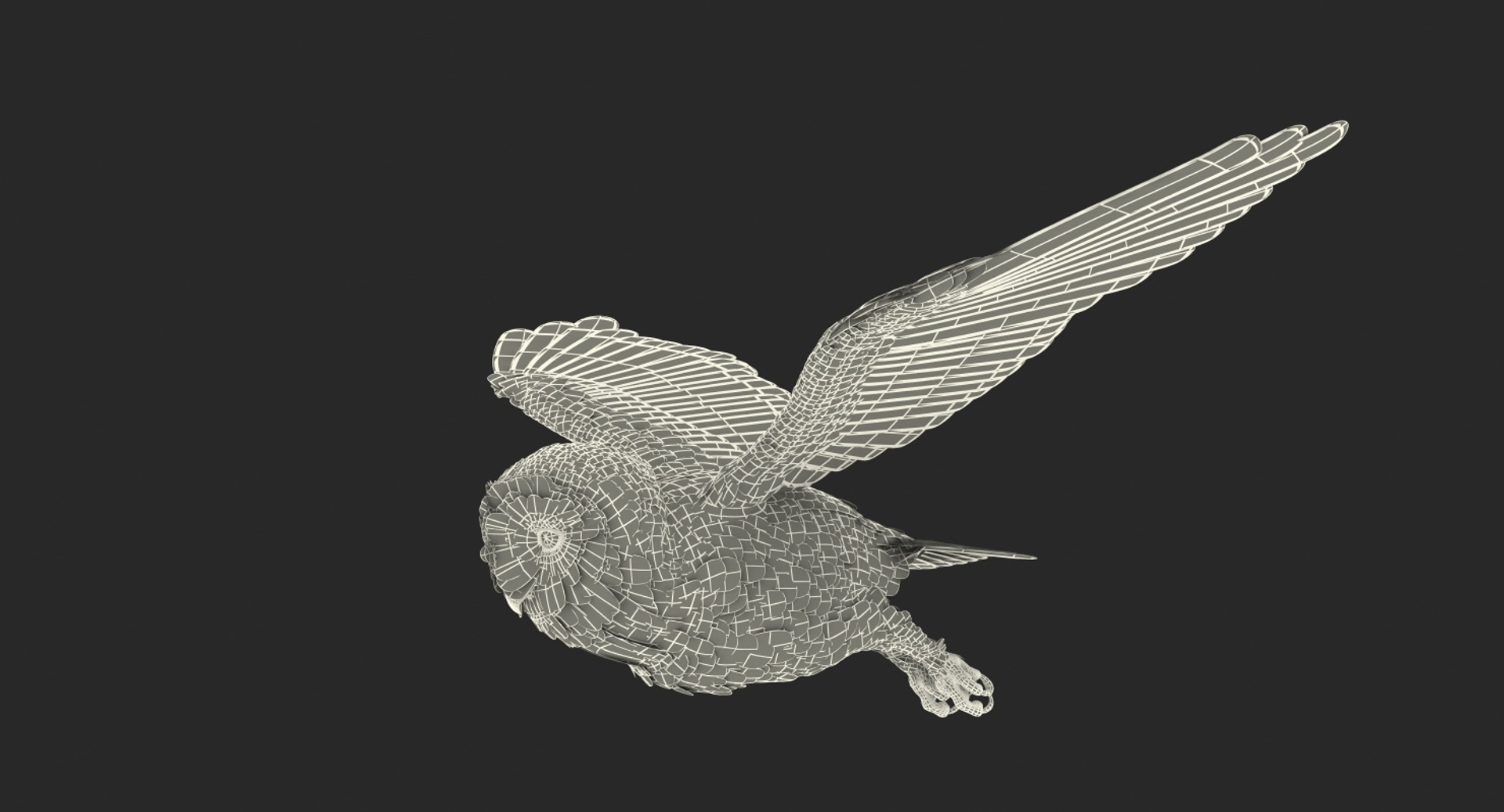 Barn Owl Flying Bird 3D Model - TurboSquid 1434136