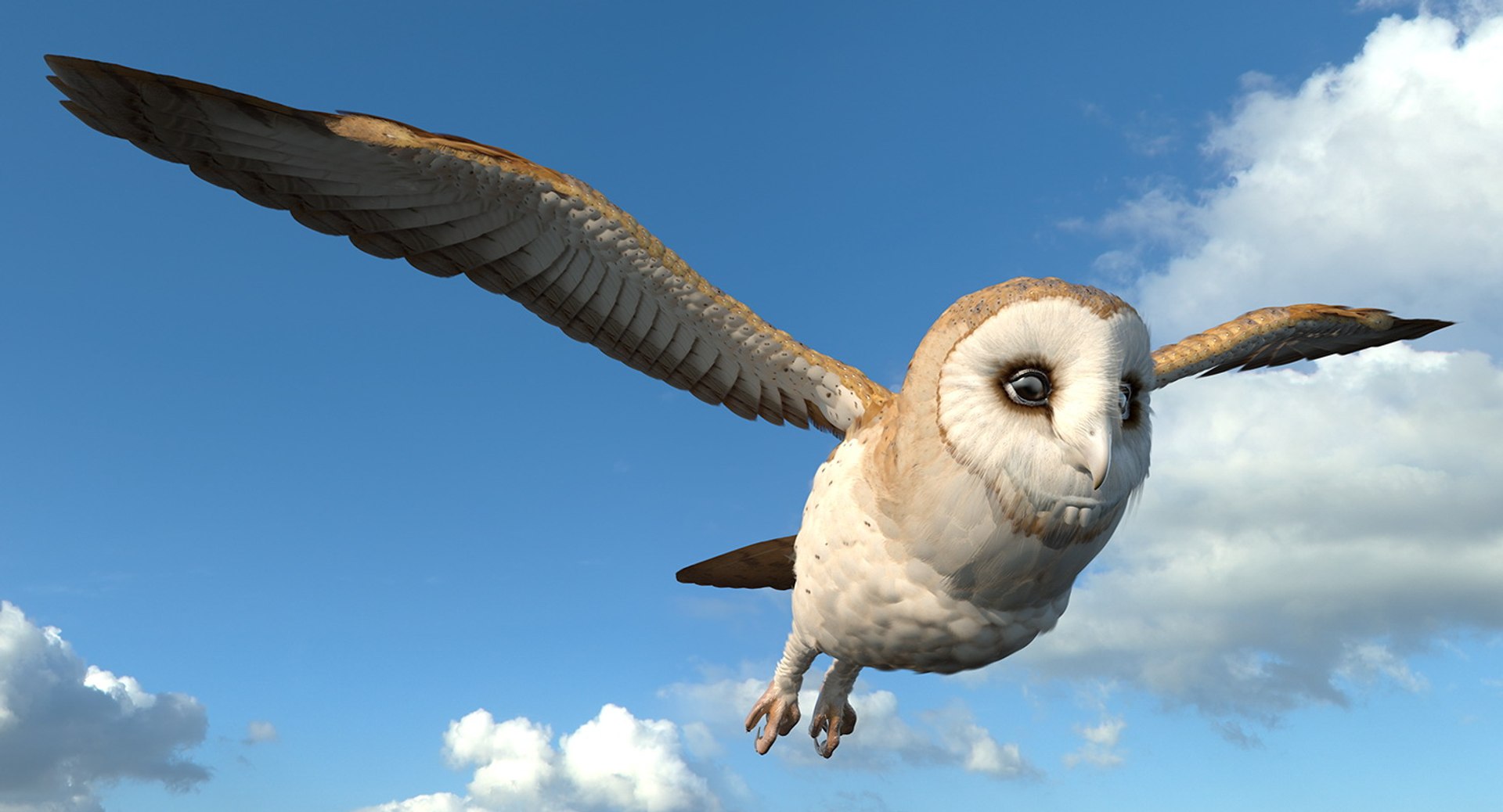 Barn owl flying bird 3D model - TurboSquid 1434136