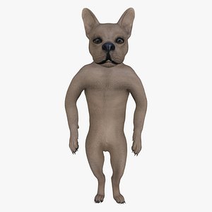 Mammals USDz Models for Download | TurboSquid