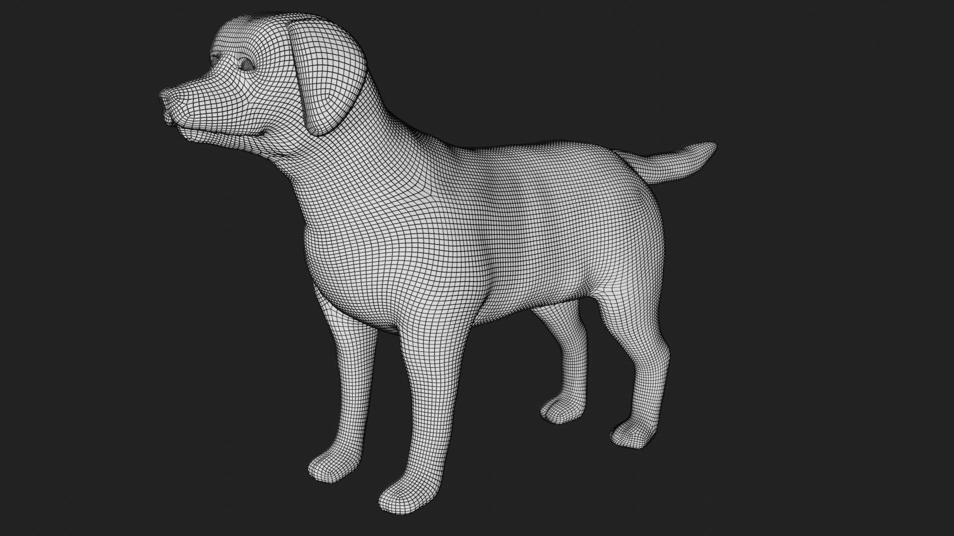 3D Fully Rigged Low Poly Labrador Dog - TurboSquid 1761190