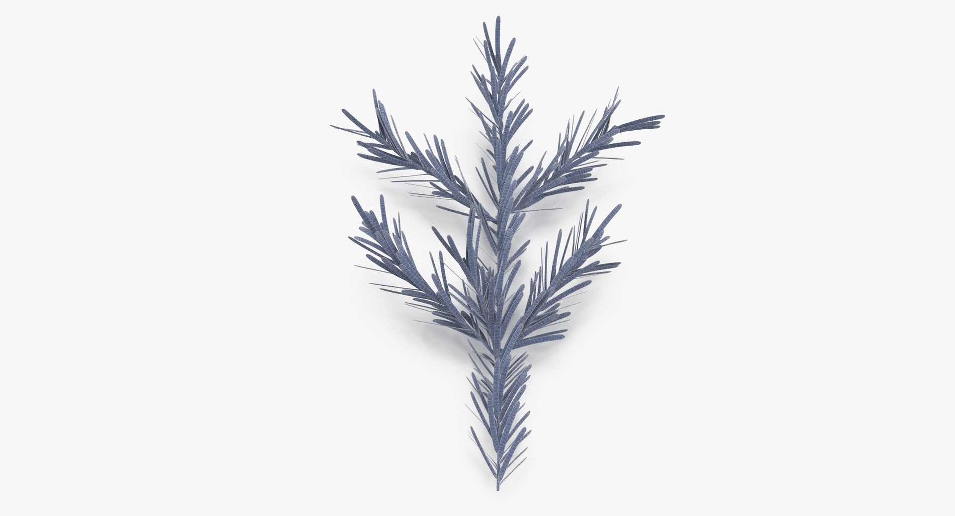 3d Pine Tree Sprig