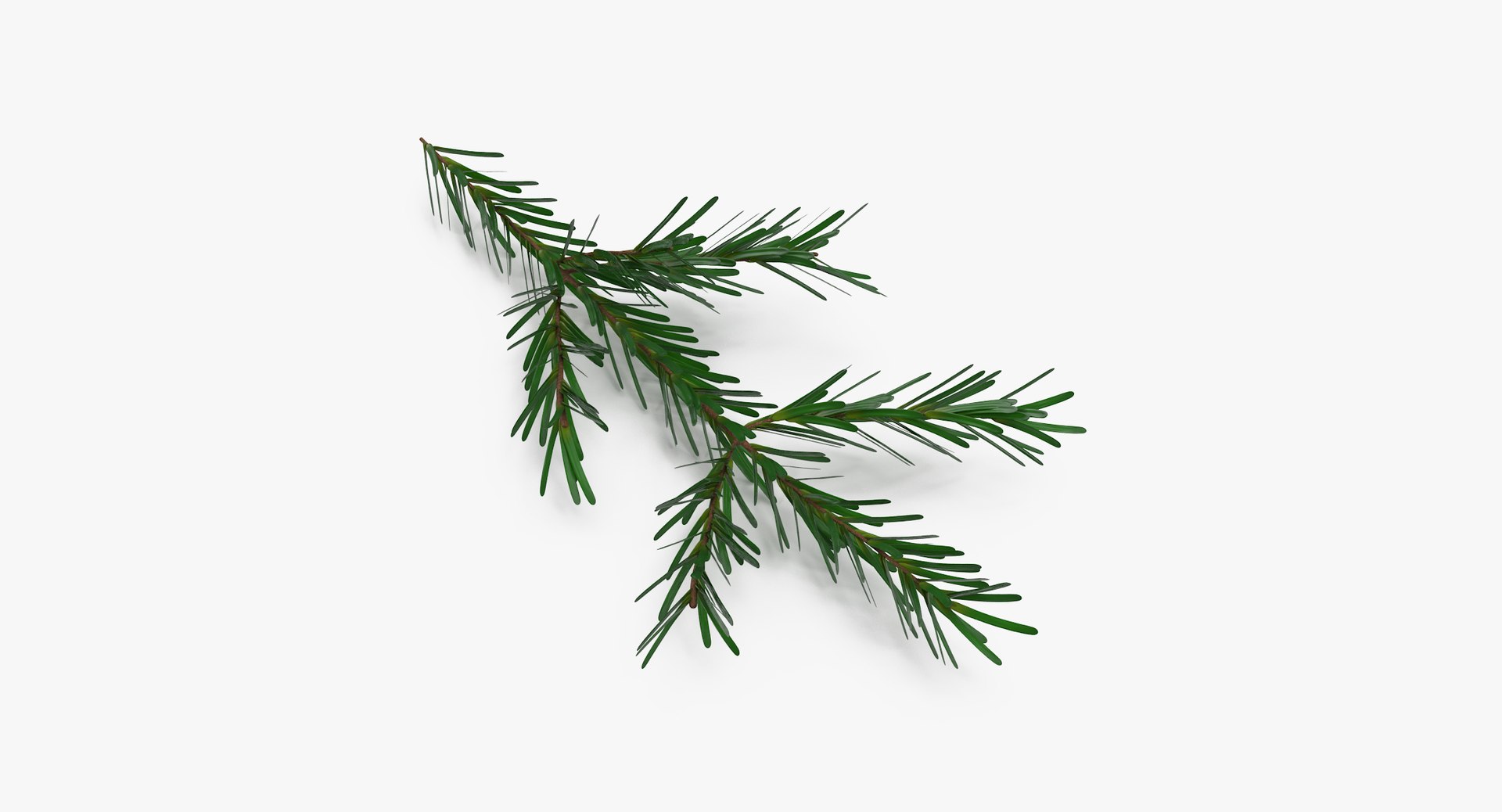 3d Pine Tree Sprig