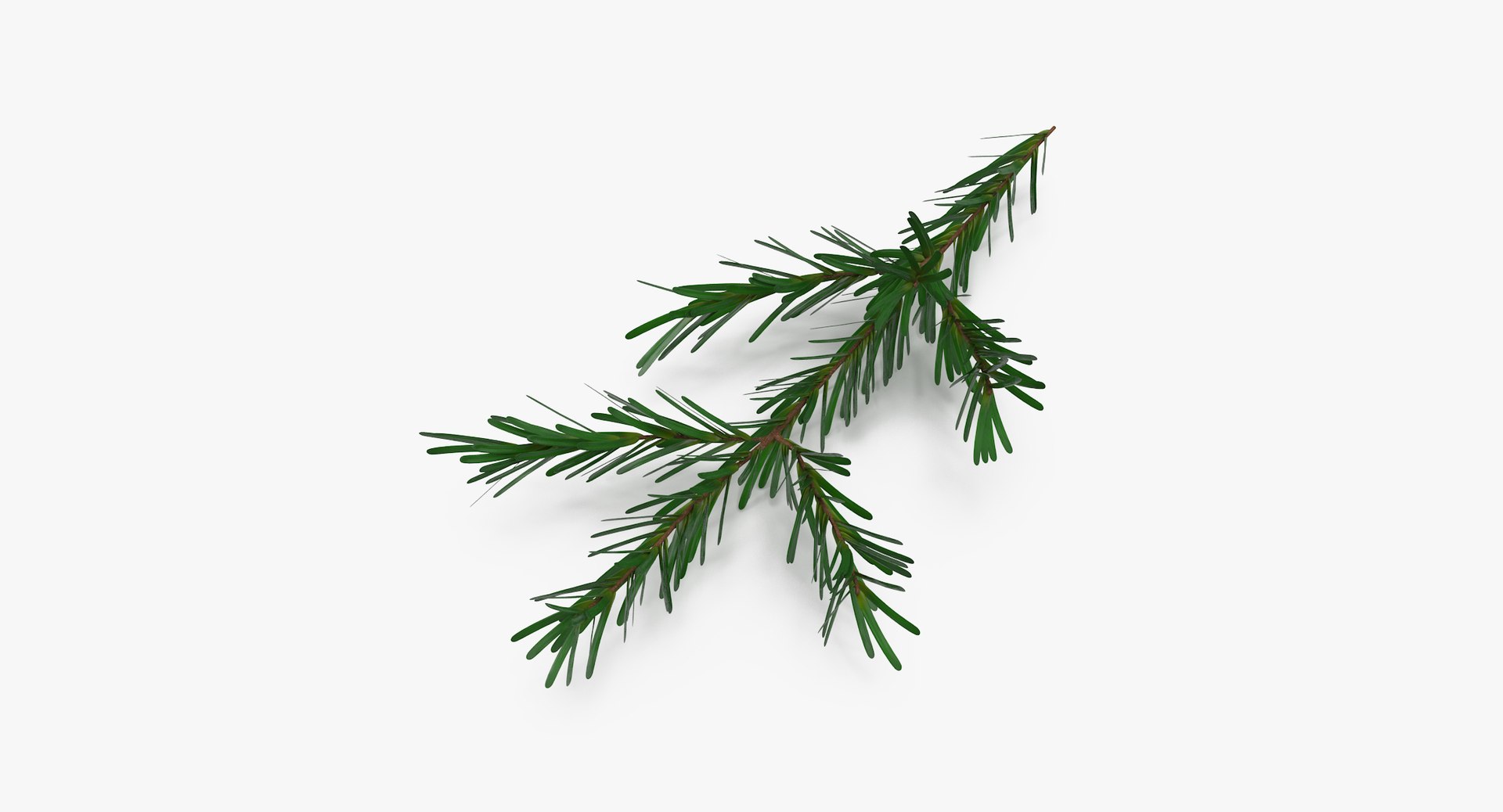 3d Pine Tree Sprig