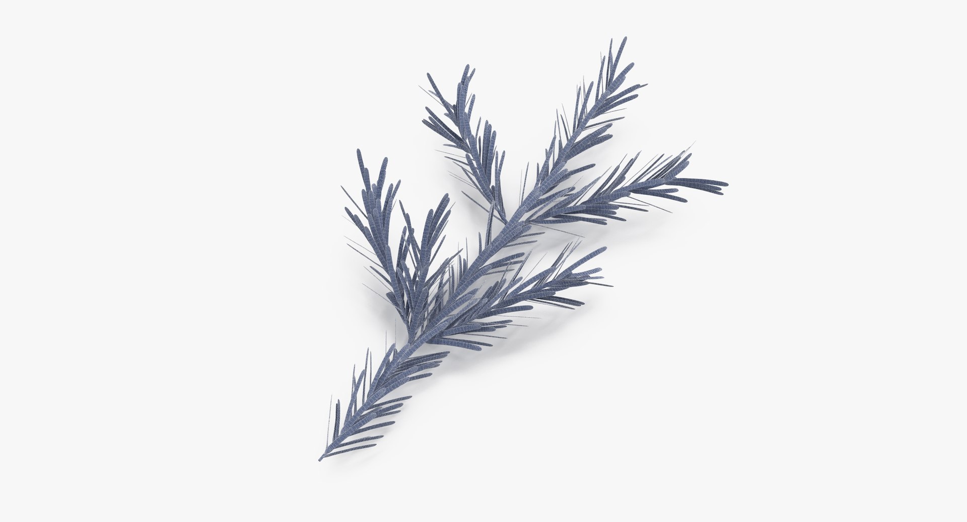 3d Pine Tree Sprig