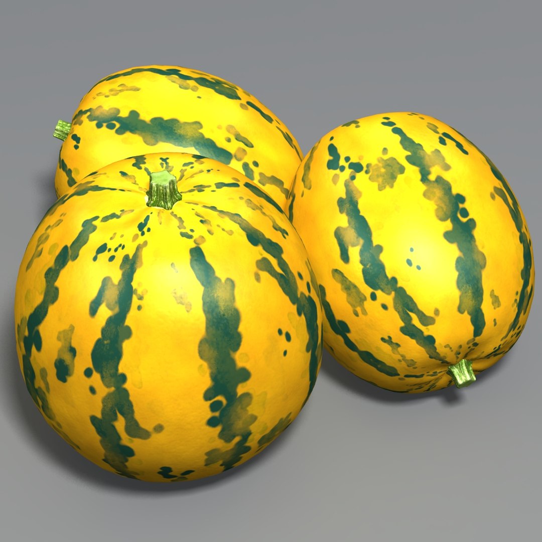 3d Squash Winter