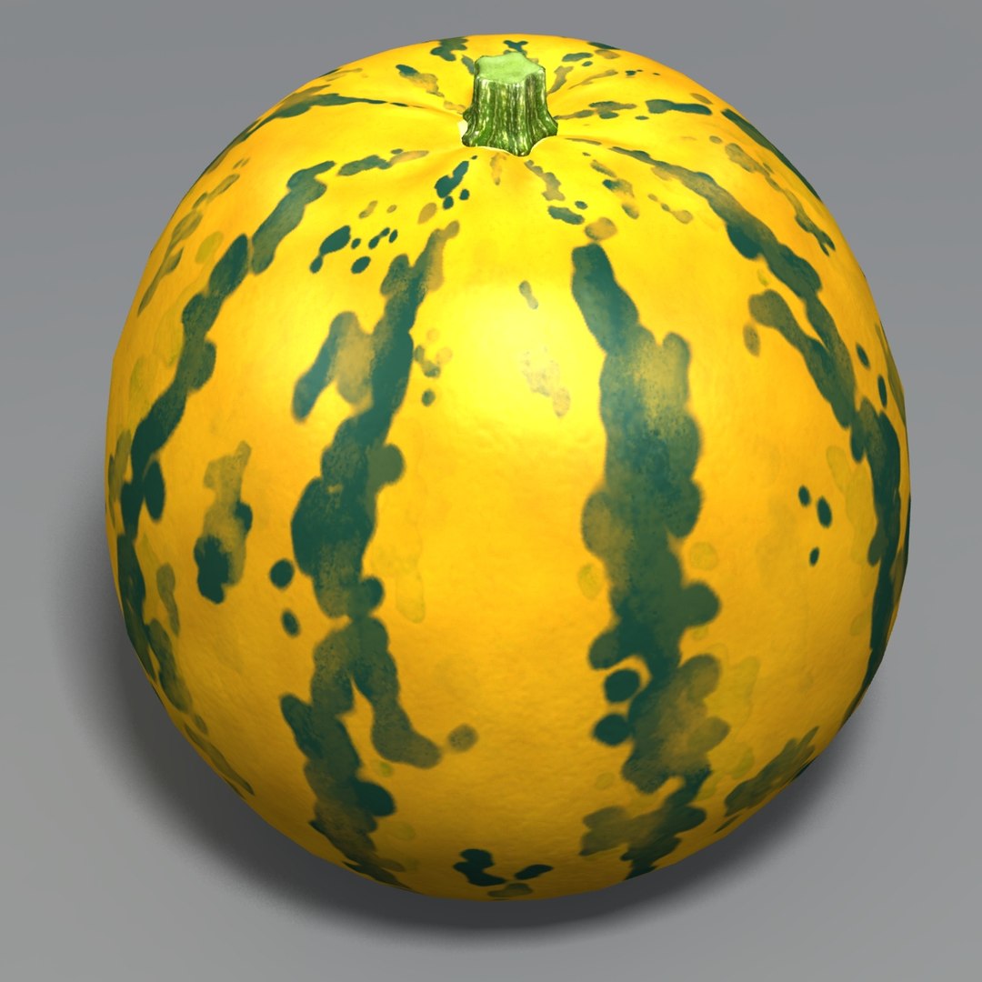 3d Squash Winter