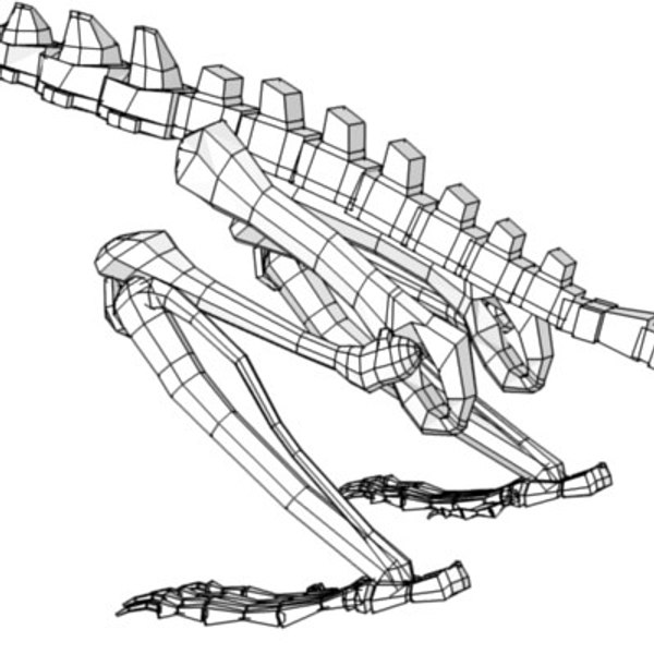 mouse skeleton 3d obj