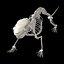 Mouse Skeleton 3d Obj