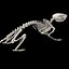 Mouse Skeleton 3d Obj