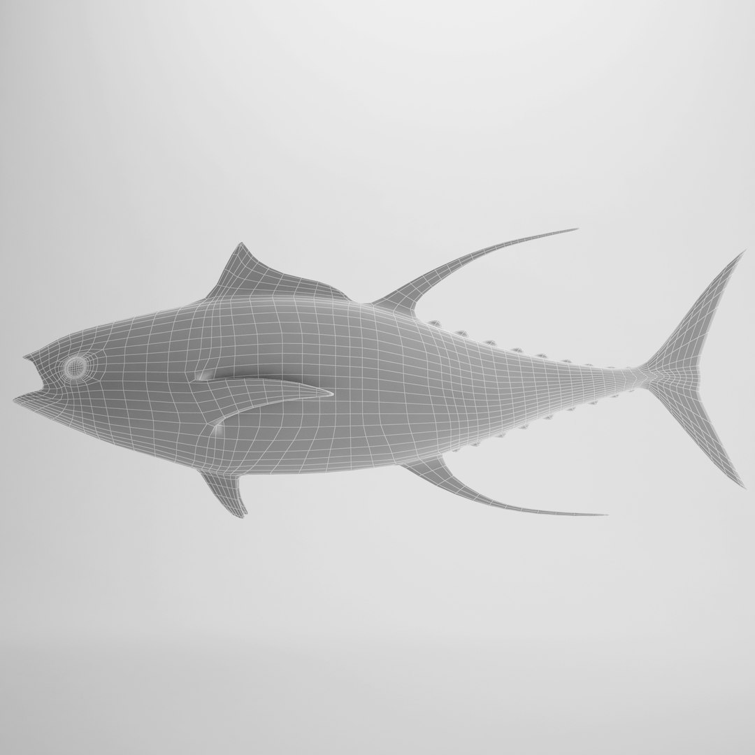 Tuna 3d Model