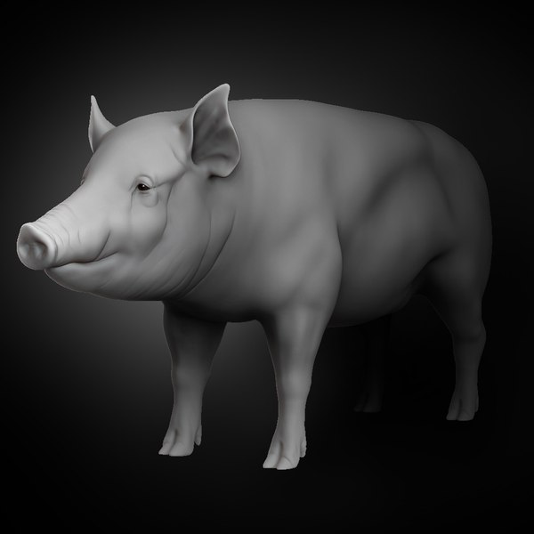 3D Pig - TurboSquid 1741872