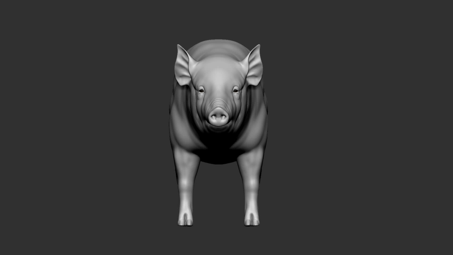 3D Pig - TurboSquid 1741872