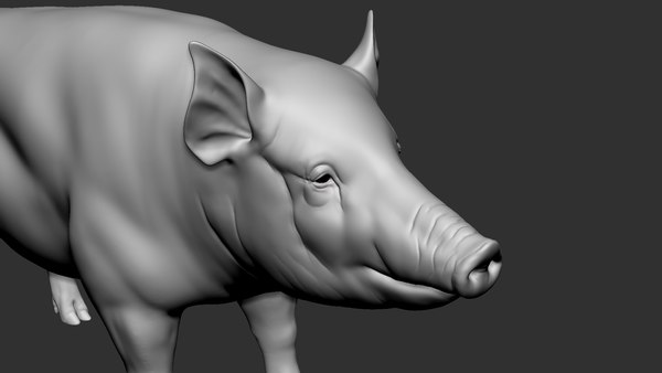 3D Pig - TurboSquid 1741872
