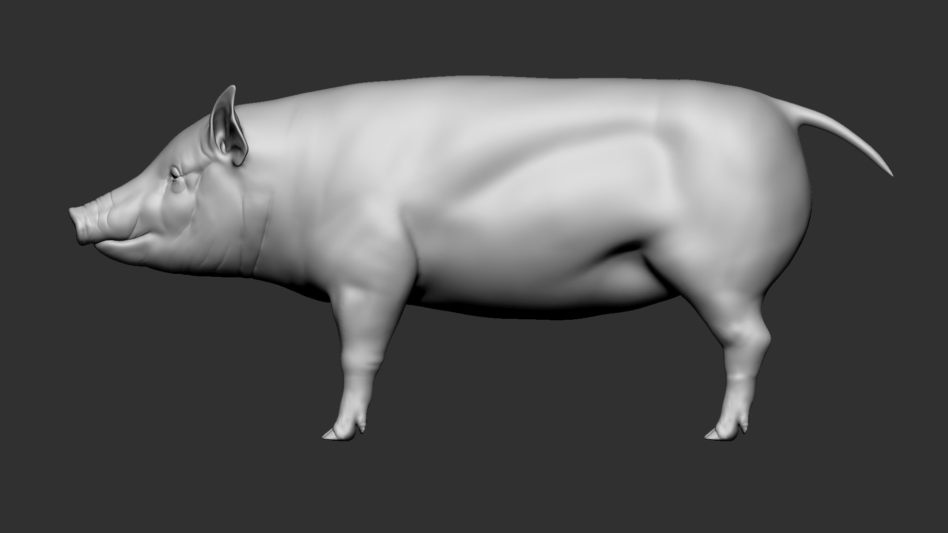 3D Pig - TurboSquid 1741872