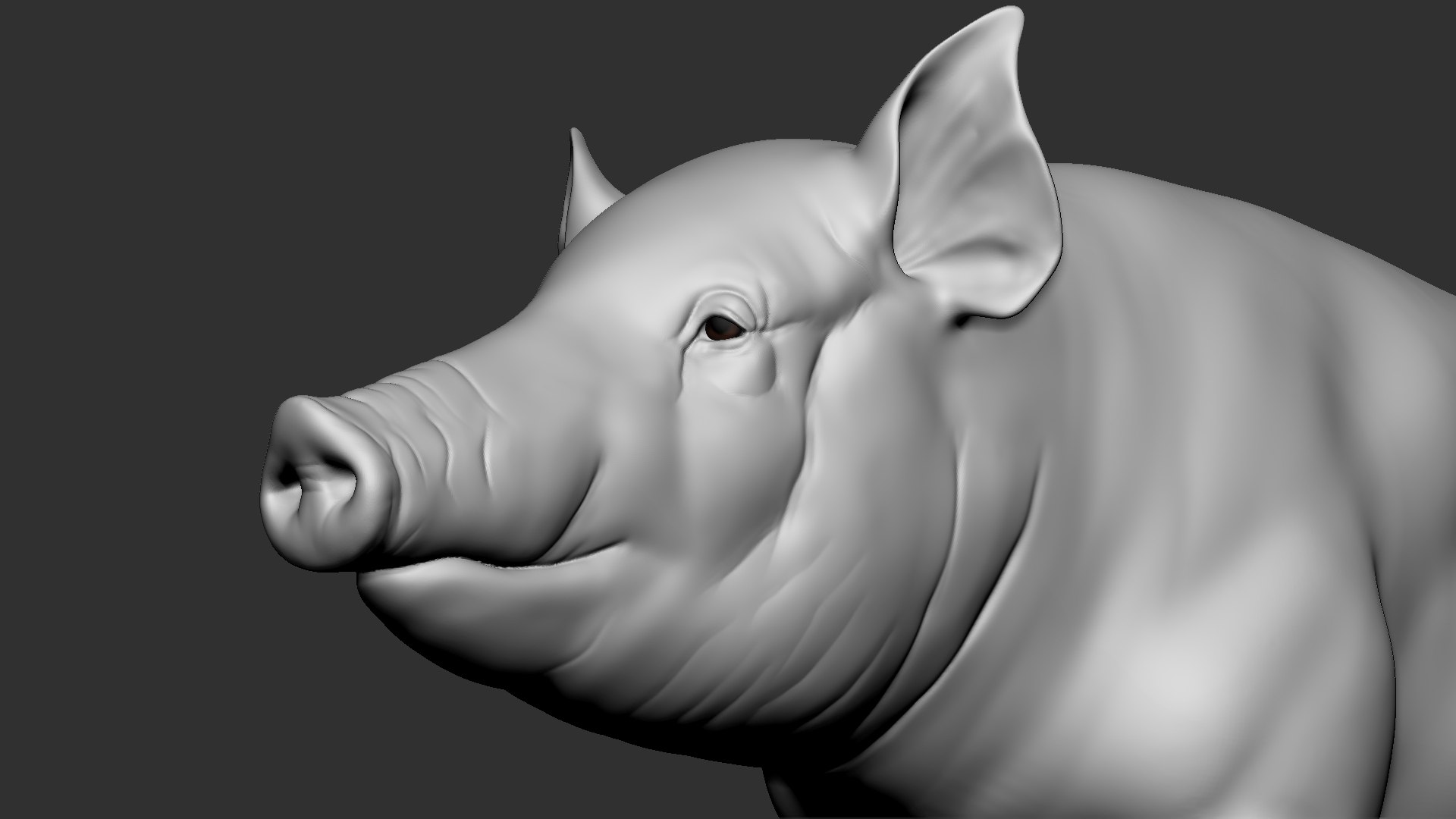 3D Pig - TurboSquid 1741872