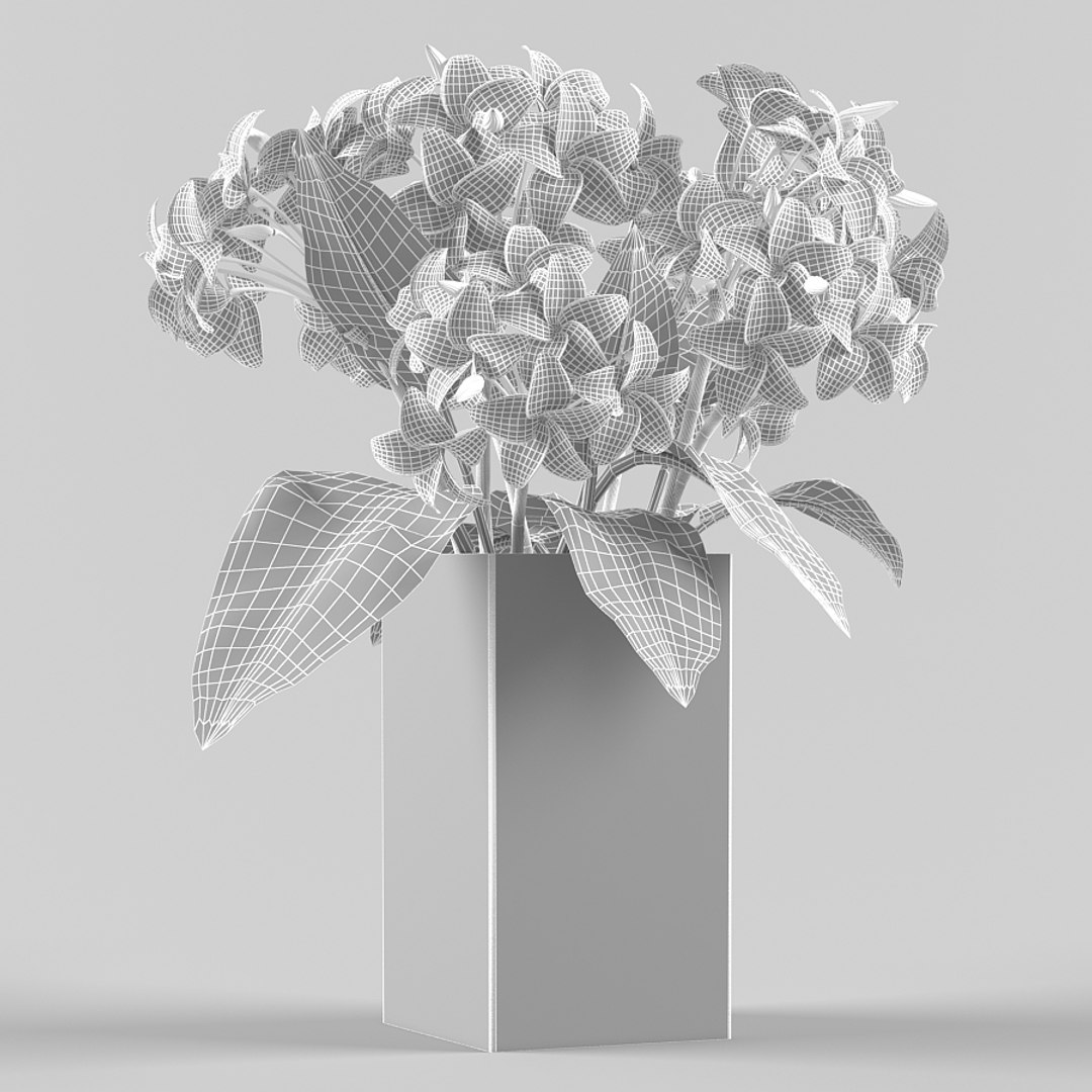3d Plumeria Flower Bouquet