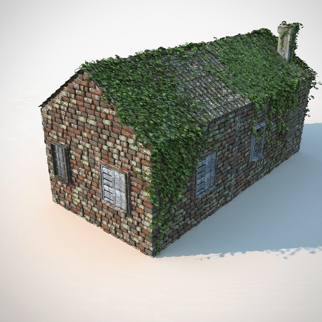 3d Model Old Decay Broke
