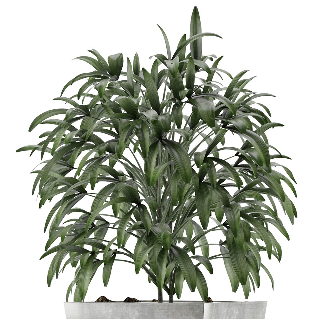 Single Plant 05 3D Model - TurboSquid 1586383