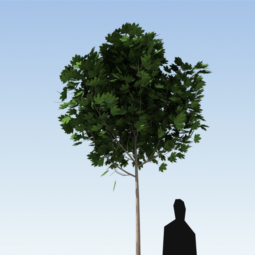 tree - 3d model