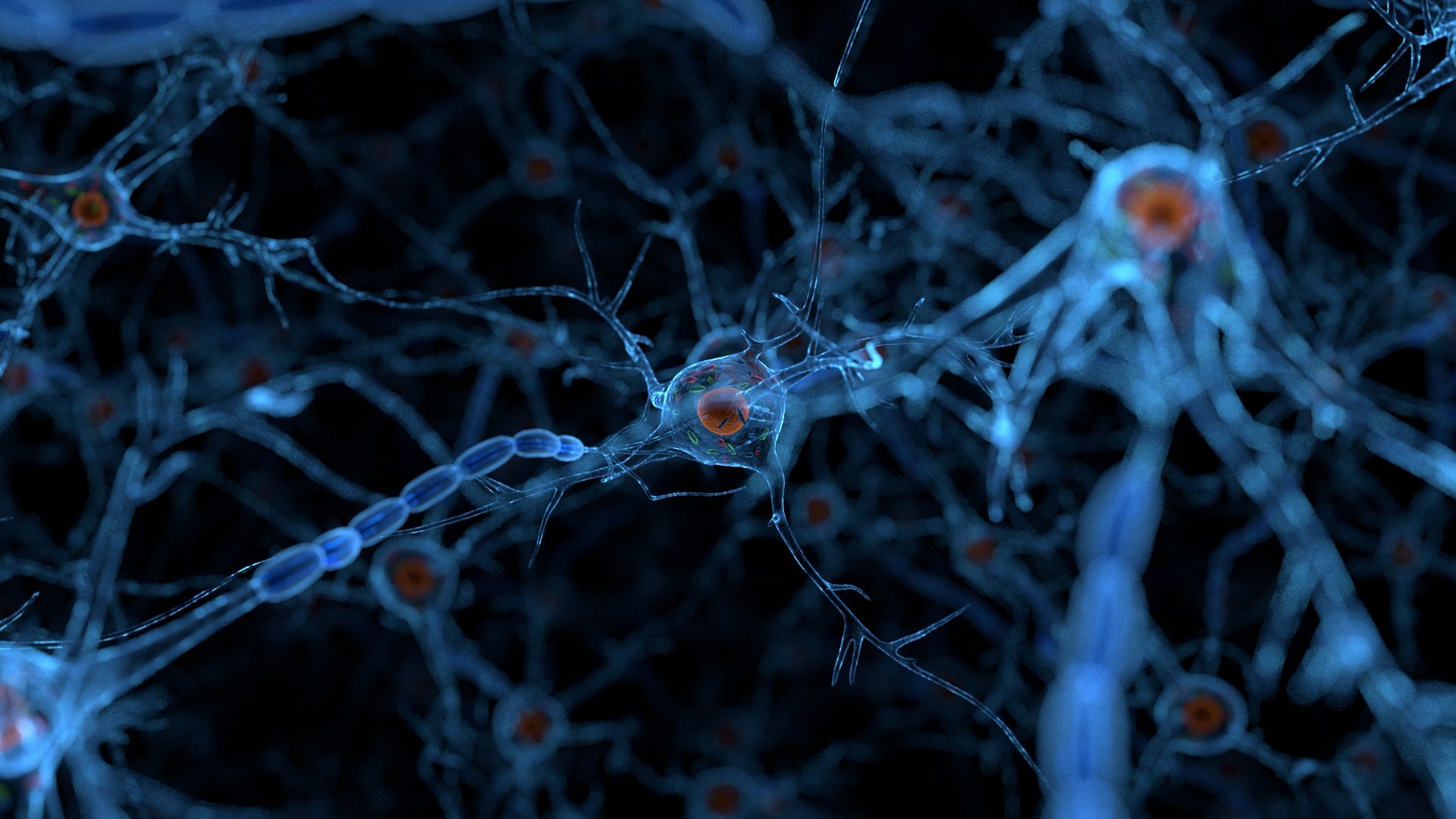 3D Neural Cells Axon - TurboSquid 1581075