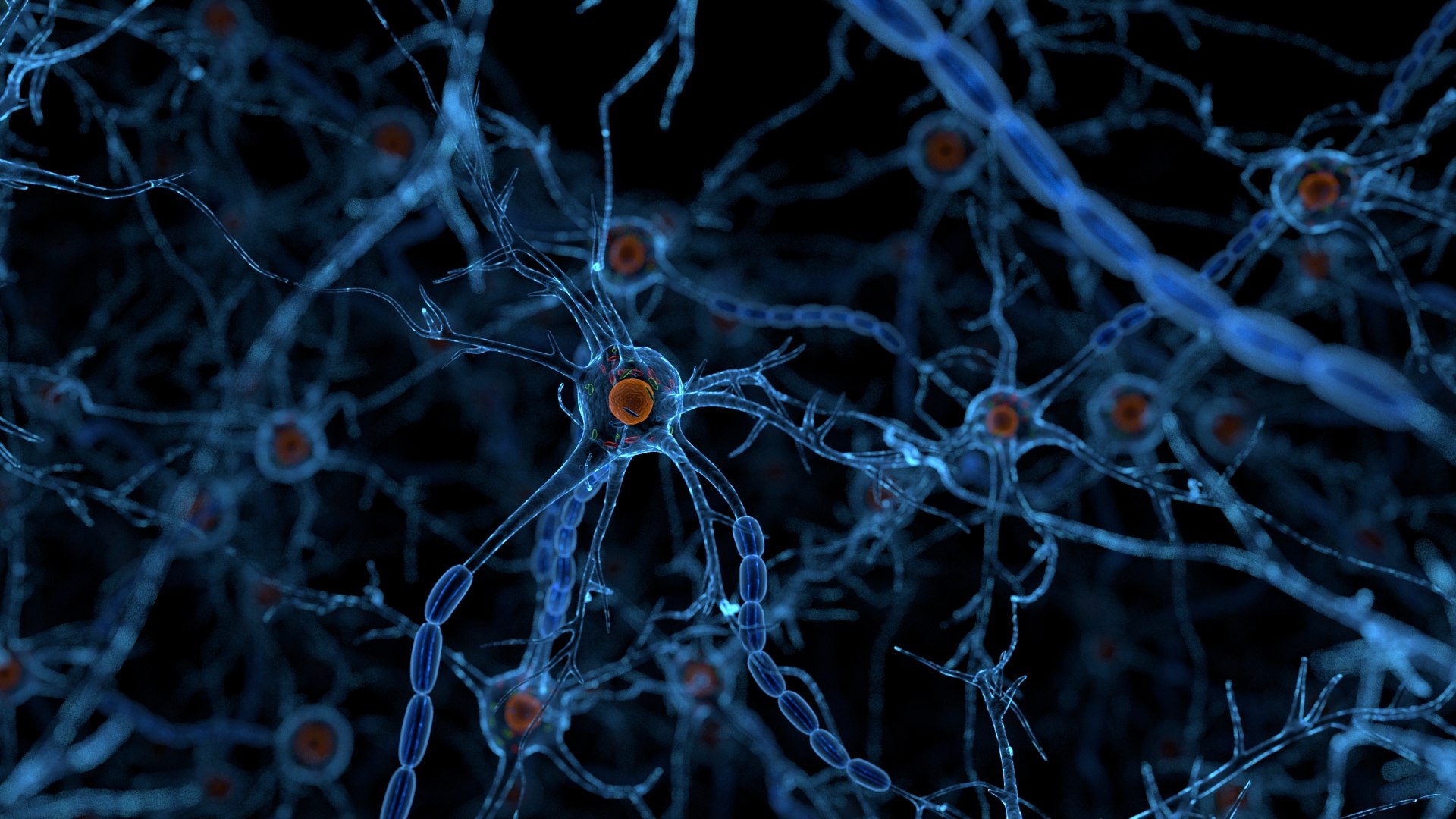 3D Neural Cells Axon - TurboSquid 1581075