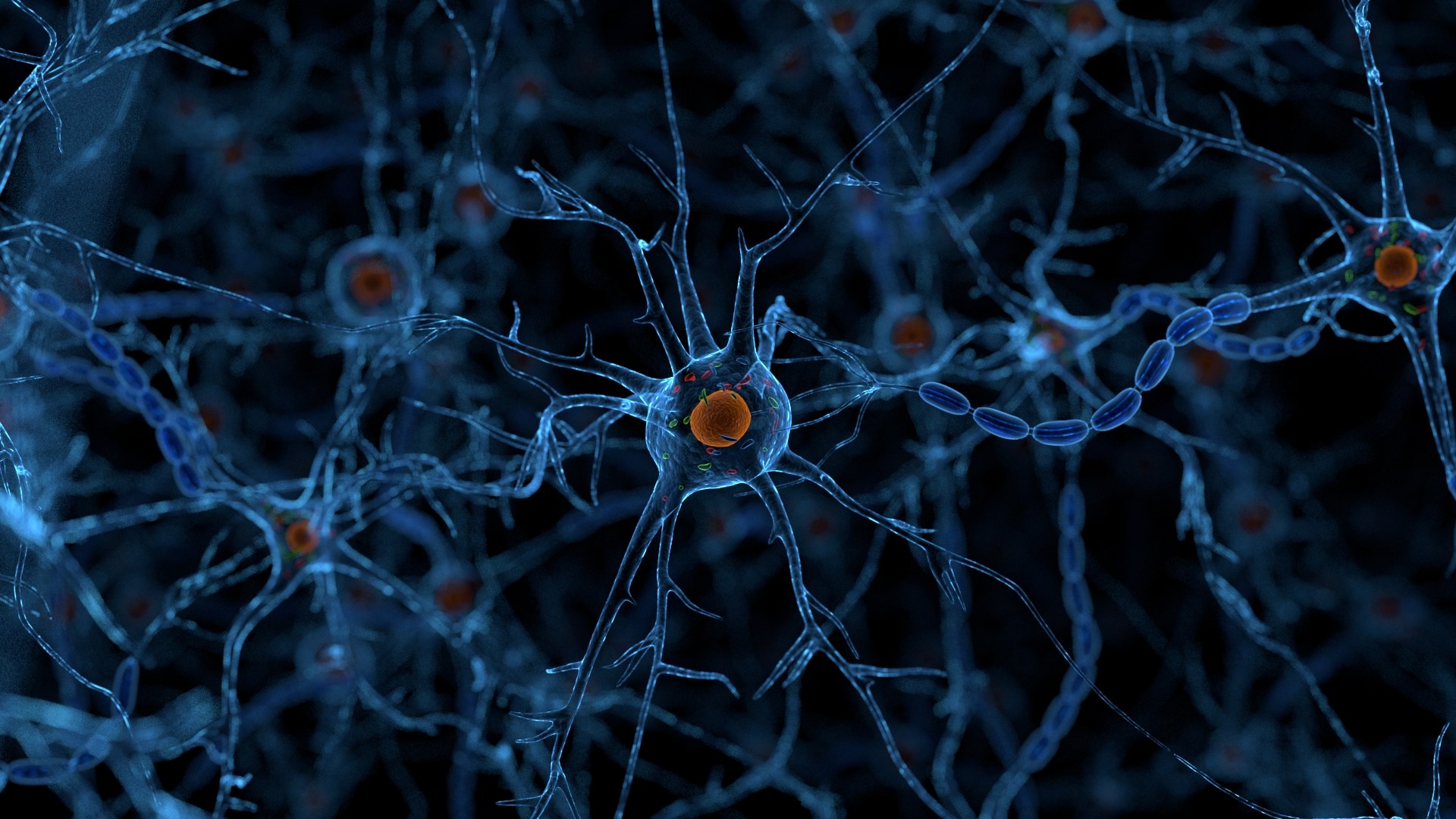 3D Neural Cells Axon - TurboSquid 1581075