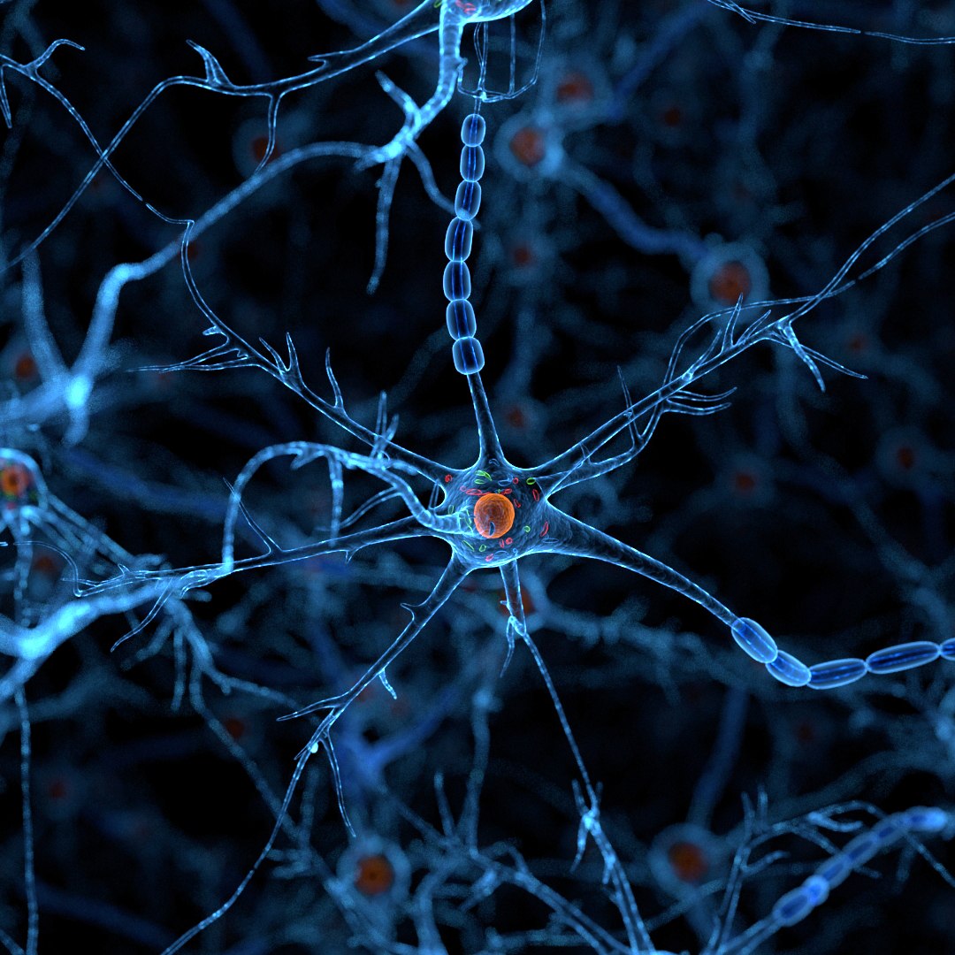 Neuron 3d Animation