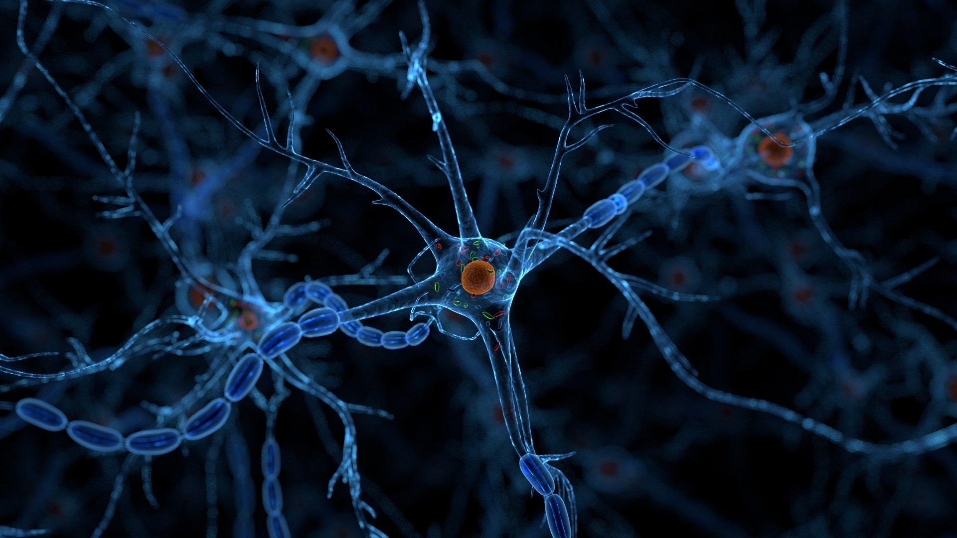 3D Neural Cells Axon - TurboSquid 1581075