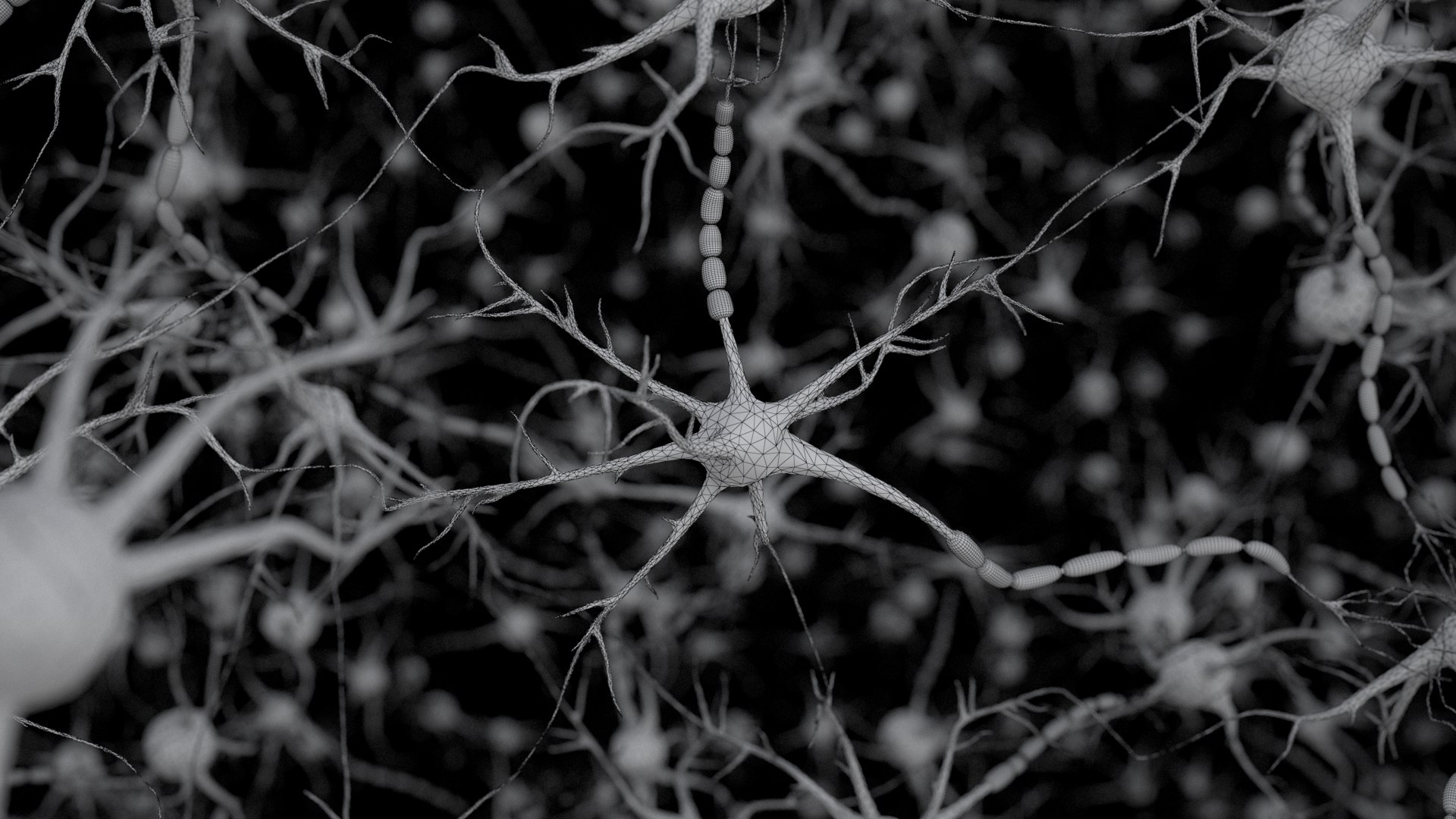 3D Neural Cells Axon - TurboSquid 1581075