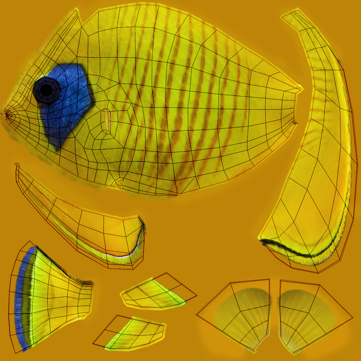 Saltwater fish animation model - TurboSquid 1514298