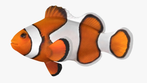 Saltwater fish animation model - TurboSquid 1514298