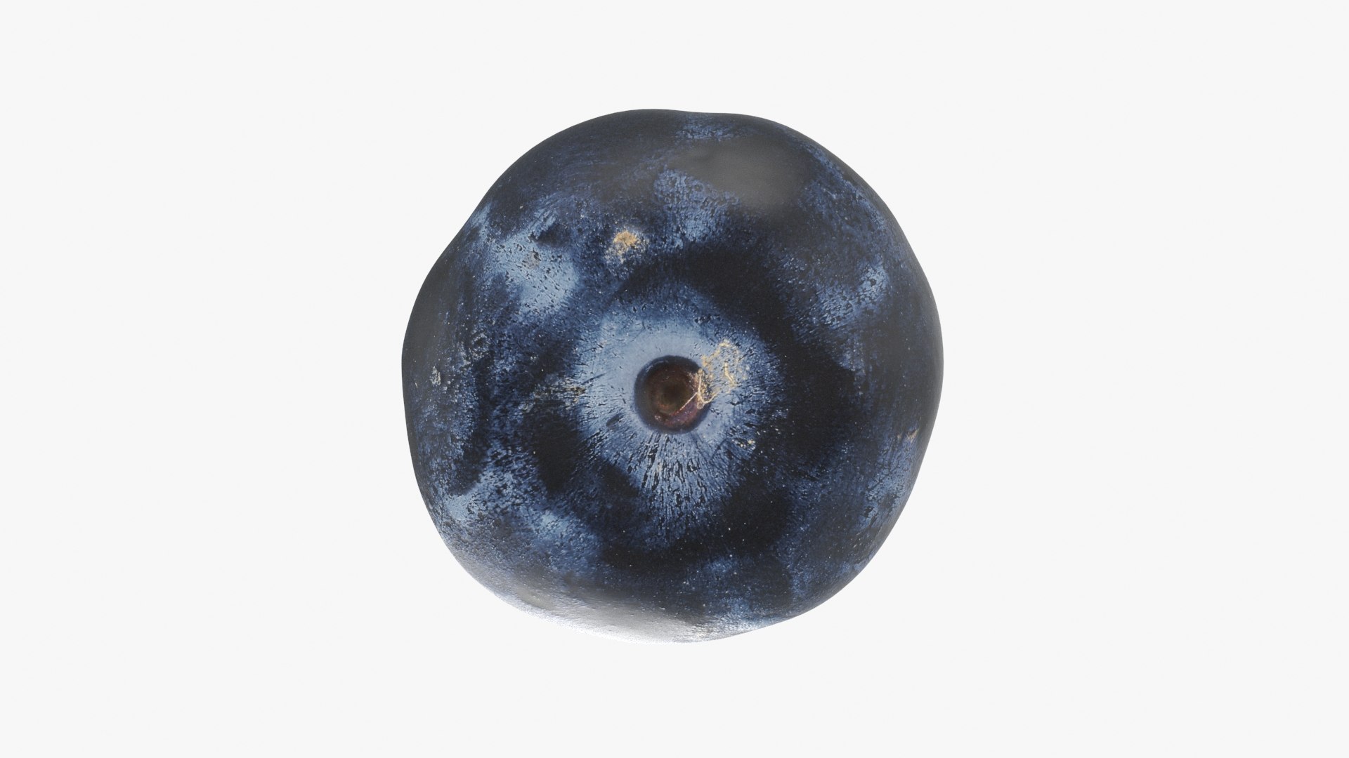3D Blueberry 02 - TurboSquid 2175430