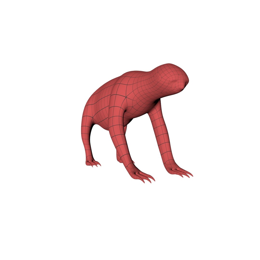 3d Model Base Mesh Sloth