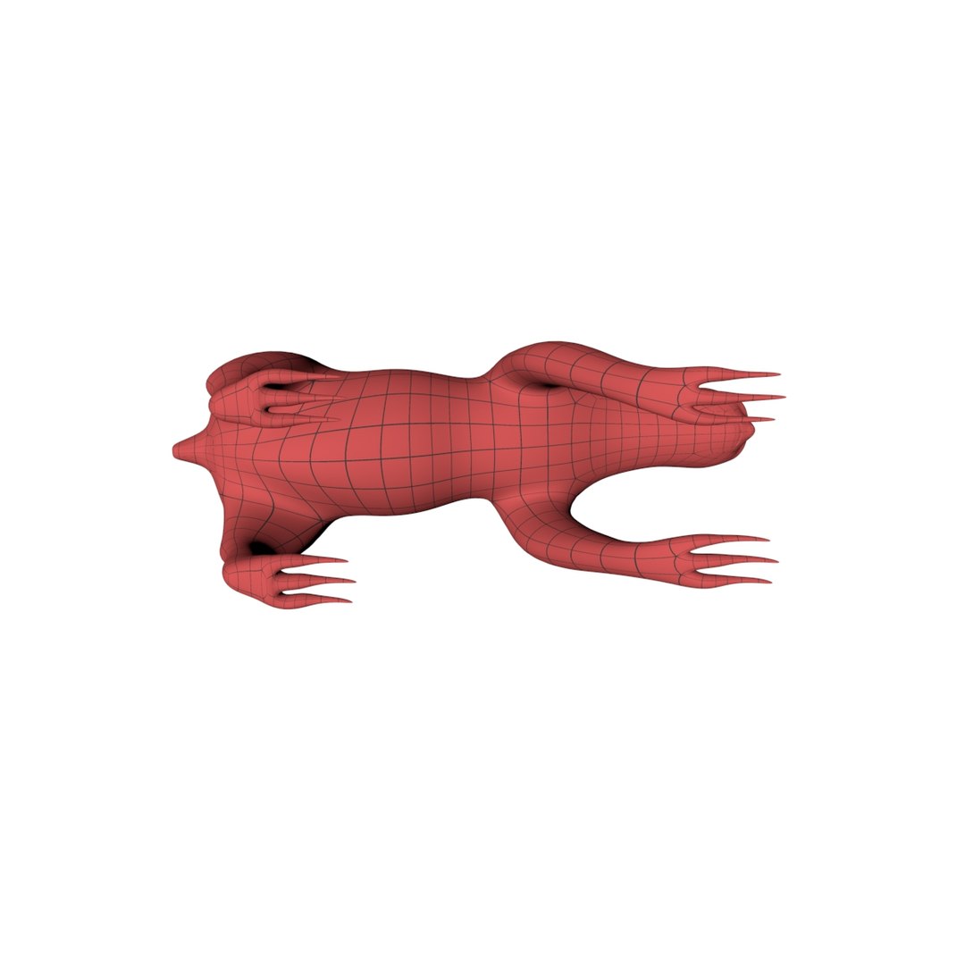 3d Model Base Mesh Sloth