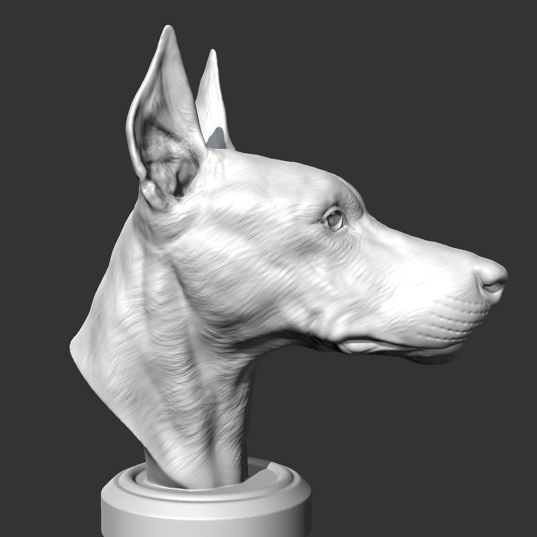 Doberman Head AM17 3D print model 3D - TurboSquid 2075348