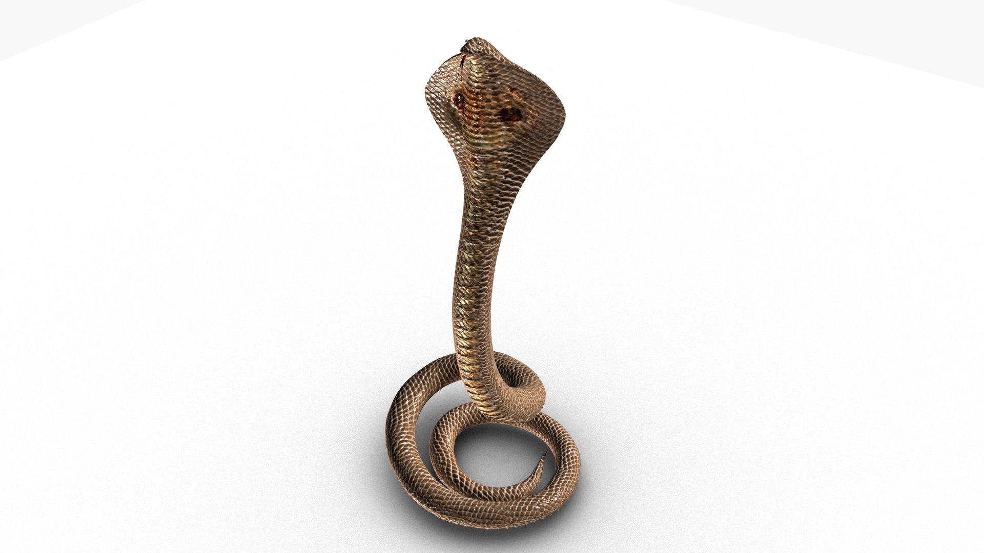 3D Model COBRA - TurboSquid 1735302