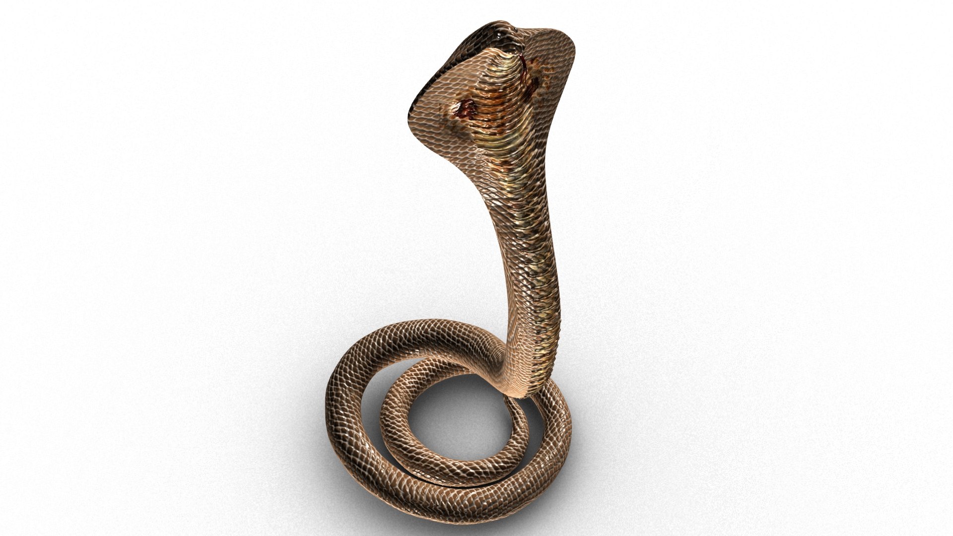 3D Model COBRA - TurboSquid 1735302