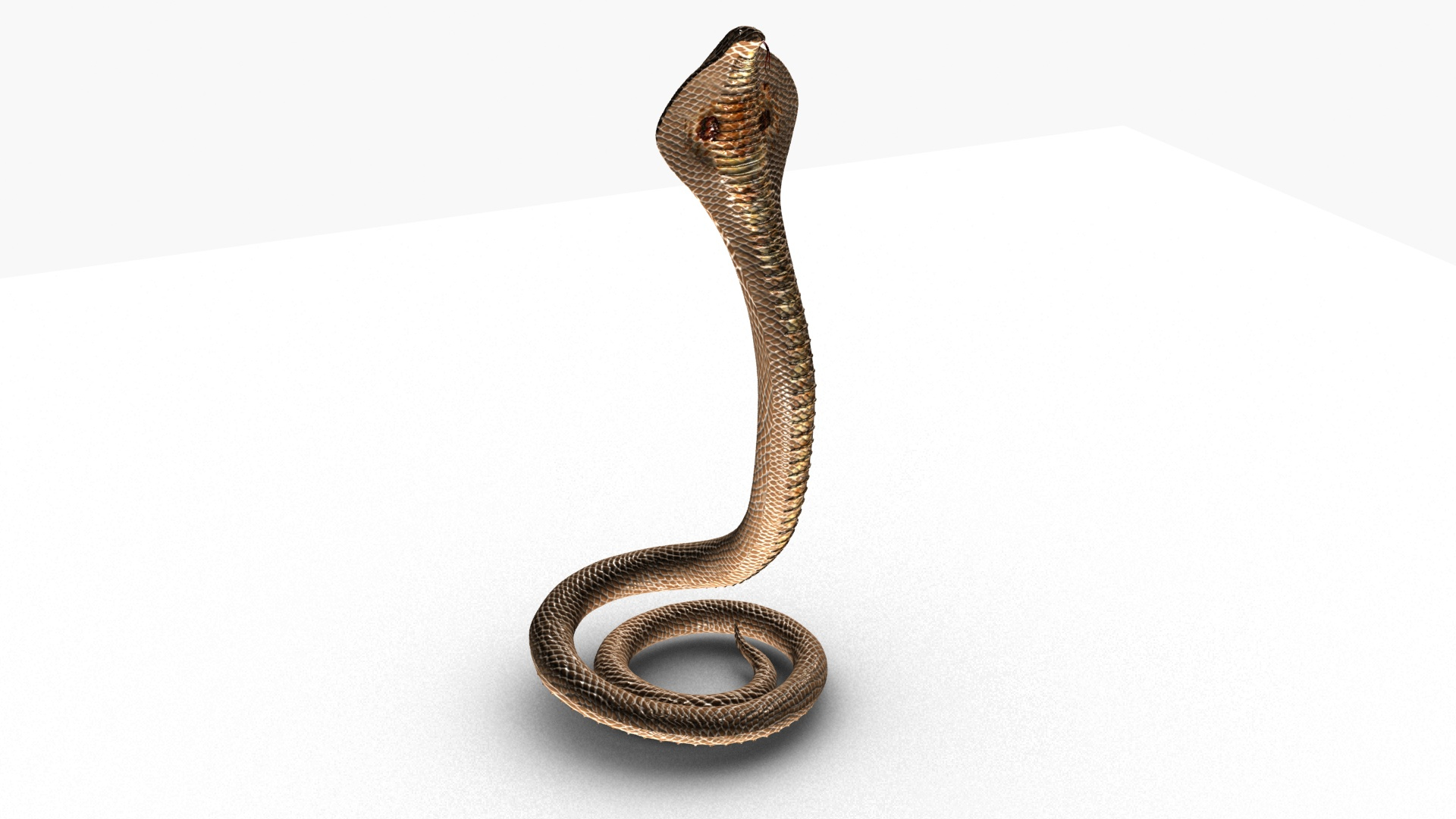 3D Model COBRA - TurboSquid 1735302