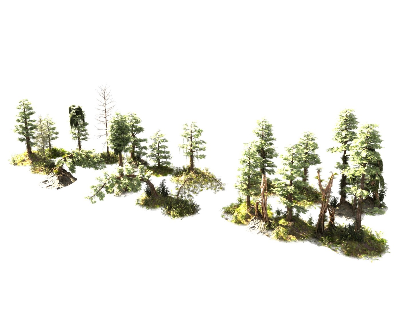 Jungle Forest Ecosystem Pack 3D Model - TurboSquid 1214486