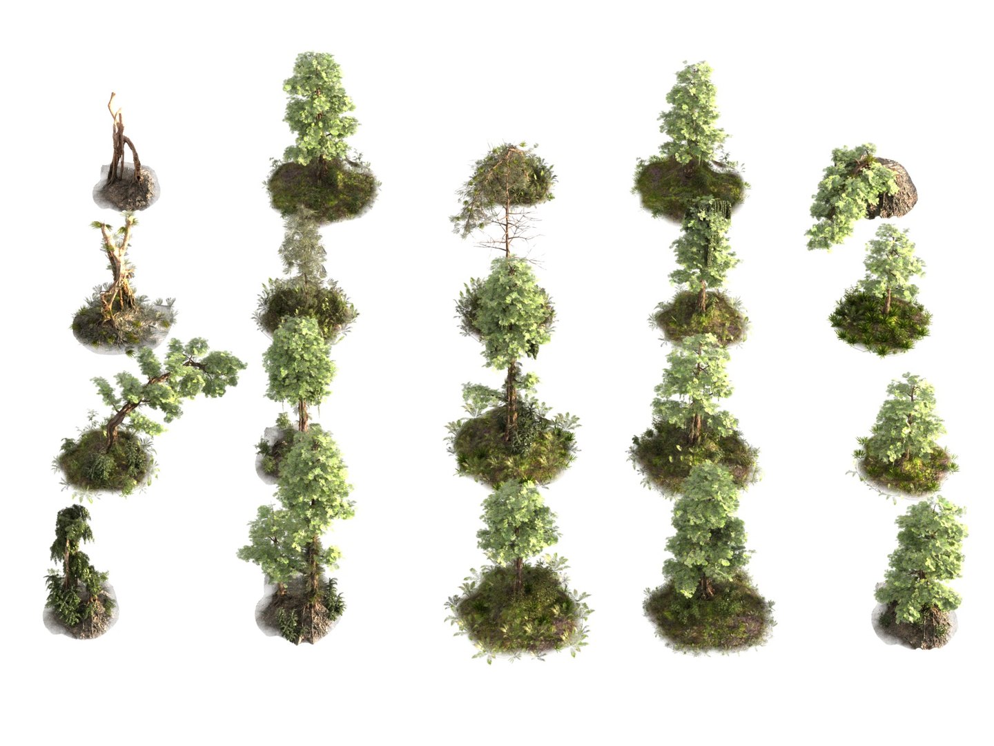 Jungle Forest Ecosystem Pack 3D Model - TurboSquid 1214486