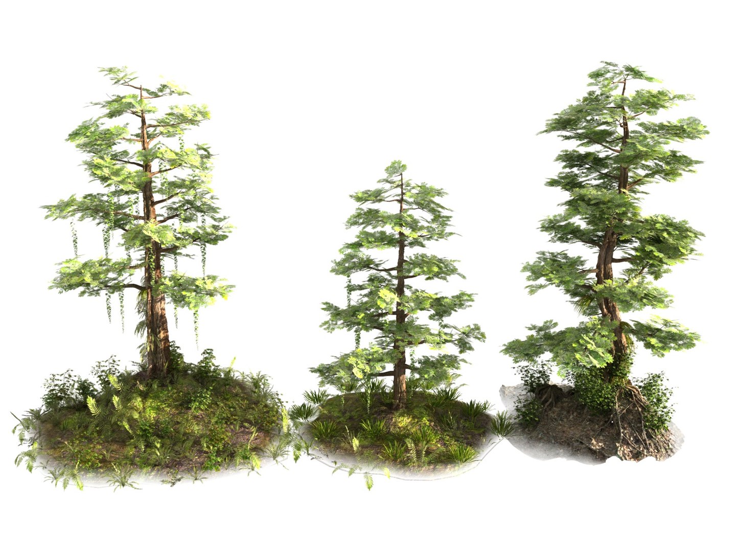 Jungle Forest Ecosystem Pack 3D Model - TurboSquid 1214486