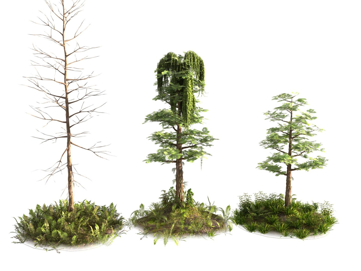 Jungle Forest Ecosystem Pack 3D Model - TurboSquid 1214486