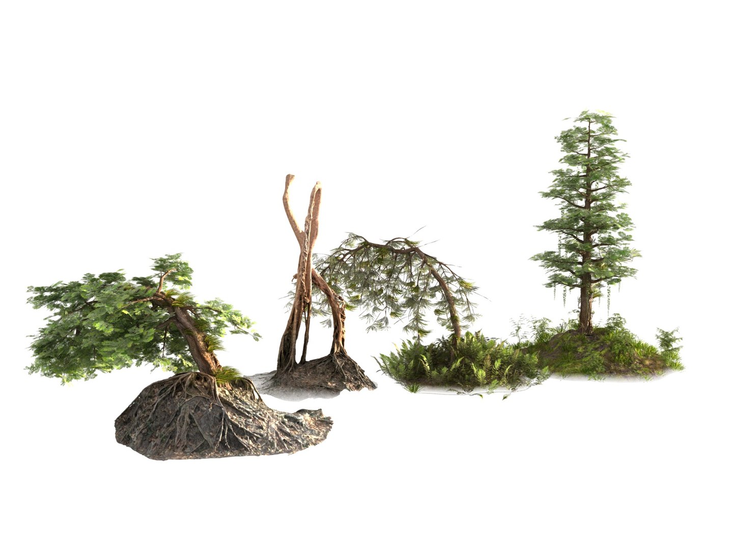 Jungle Forest Ecosystem Pack 3D Model - TurboSquid 1214486