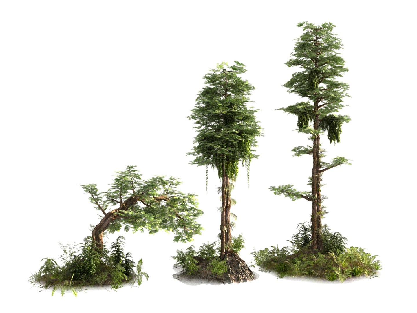 Jungle Forest Ecosystem Pack 3D Model - TurboSquid 1214486