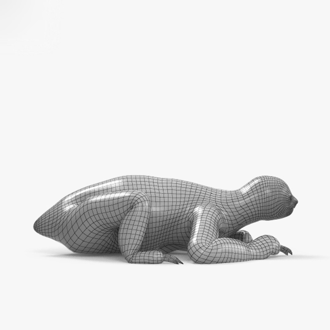 Toed Sloth Three-toed 3D - TurboSquid 1370240